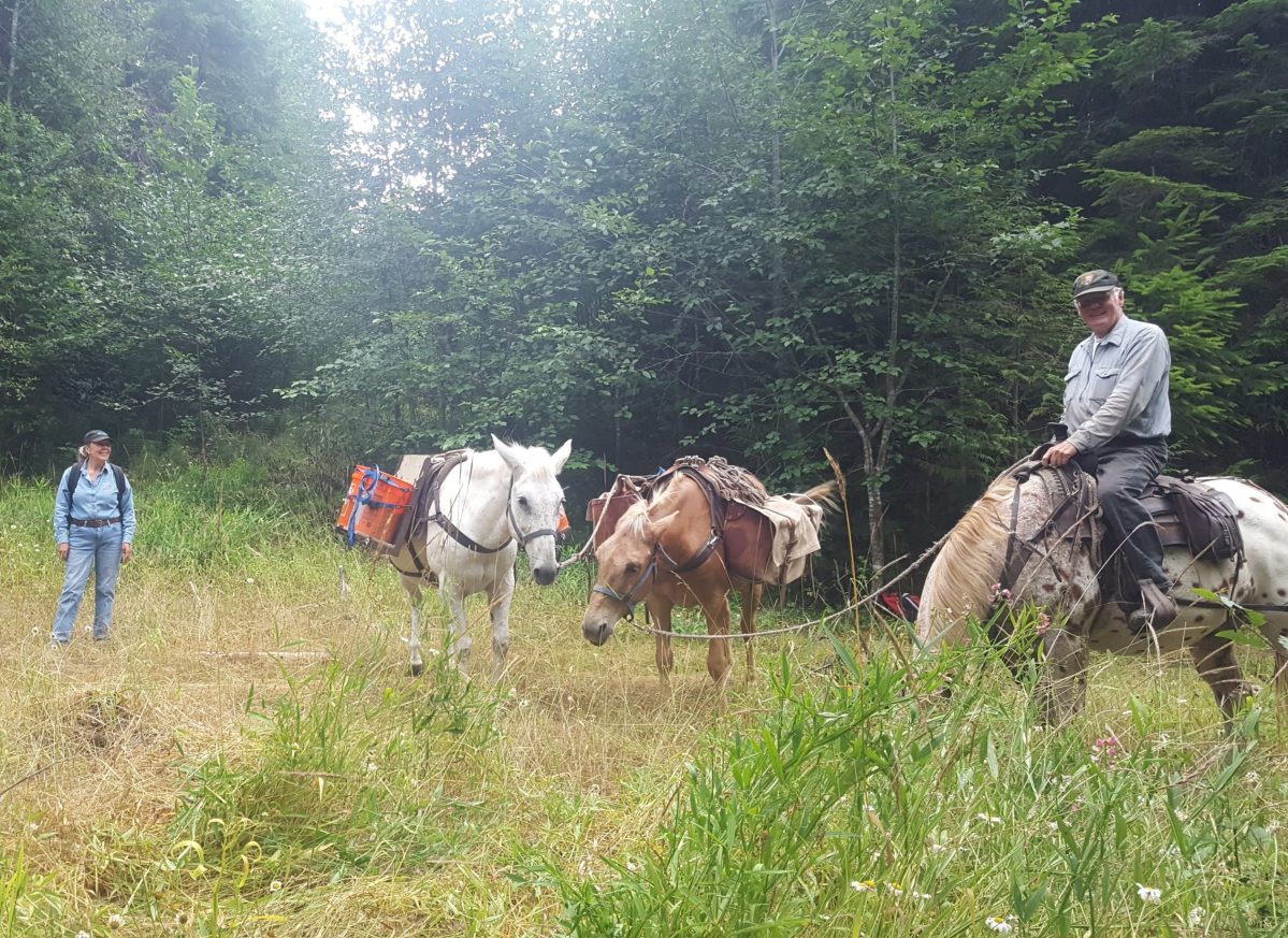 Salute to mule trains & packers after Hurricane disaster – Buckhorn ...